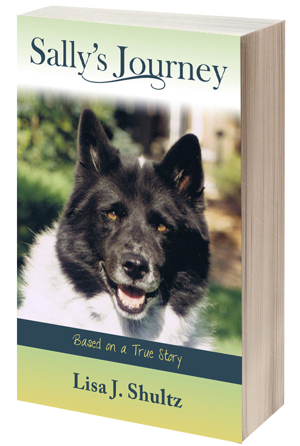 Sally’s Journey by Lisa Shultz | Lisa J. Shultz